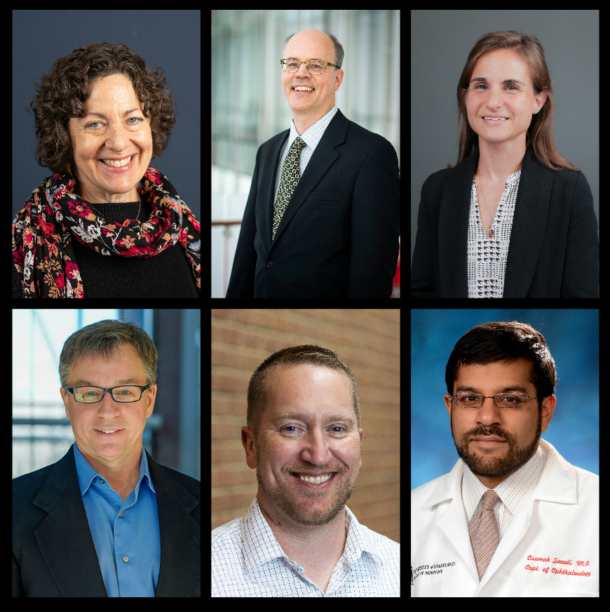 MPower Professorship - MPower Maryland